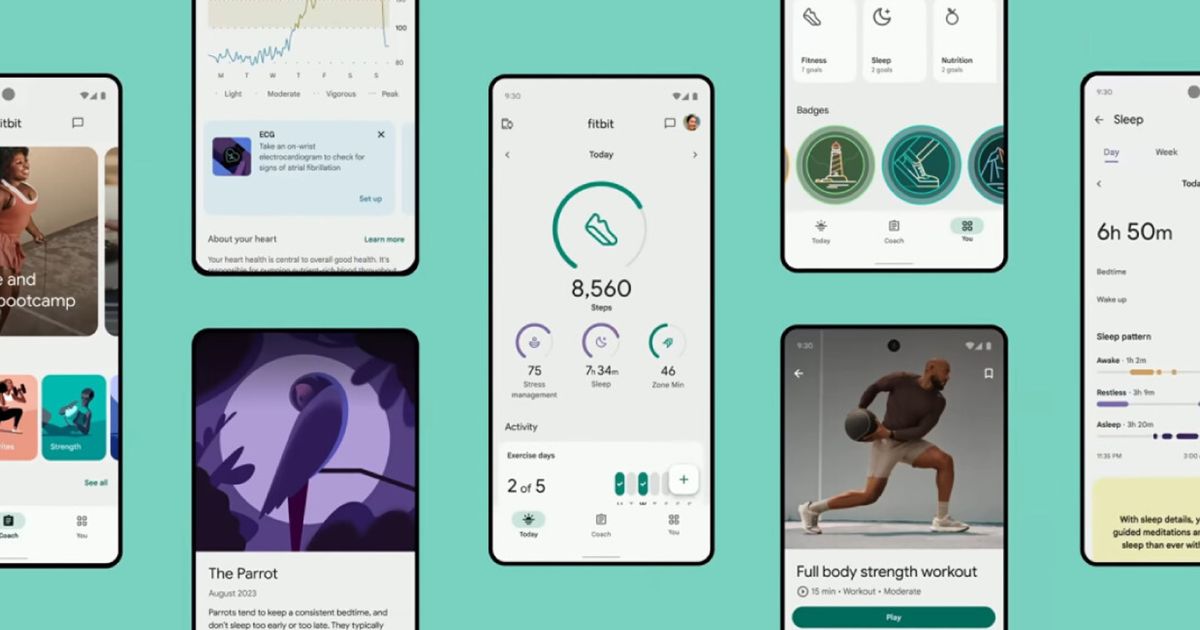 Fitbit introduces AI features for personalized coaching and in-depth ...