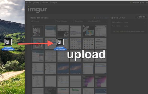 PiXhost Alternatives: Top 12 Image Hosting Services | AlternativeTo