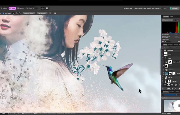 Linearity Curve Alternatives for Windows: Top 13 Vector Graphic Apps ...