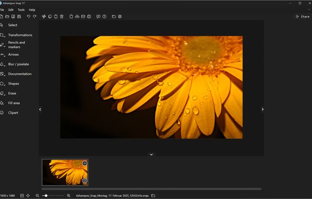 Best Snagit Alternatives: Top Screenshot Capture Tools in 2025 ...