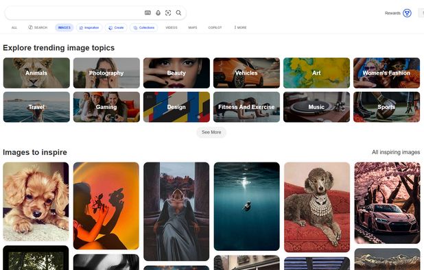 Google Images Alternatives: Top 12 Image Search Engines & Similar ...