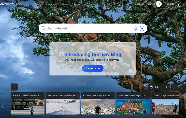 Flaru Alternatives: Top 5 Web Search Engines & Similar Websites ...