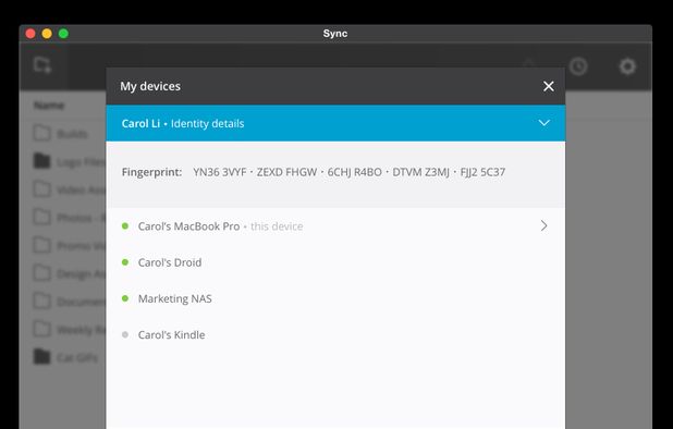 Best Syncthing Alternatives: Top File Sync Tools in 2026 | AlternativeTo