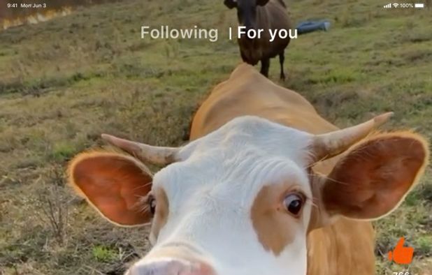 Clapper - Video, Live, Chat: Clapper is a fast-growing social media ...