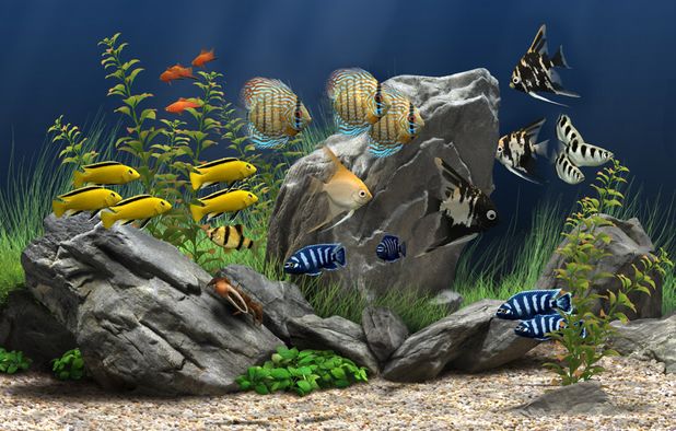 3D Screensaver Downloads Alternatives - Explore Similar Sites & Apps ...