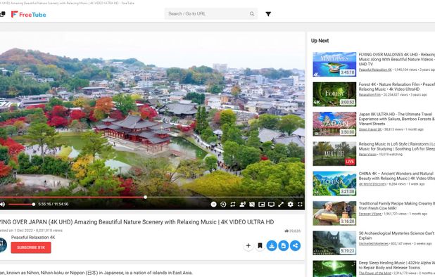 SnapTube Alternatives for Windows: Top 12 YouTube & Video Downloaders ...