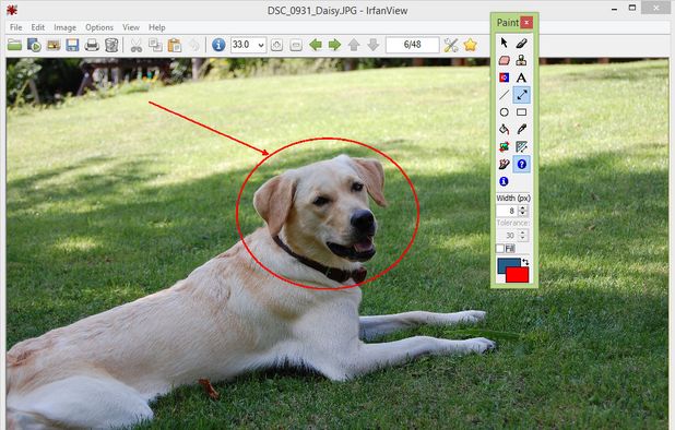 Apps tagged with 'Image Editors' | AlternativeTo