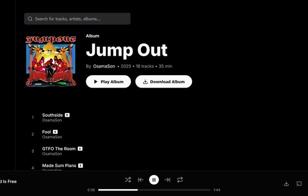 Monochrome Music: Minimalist, privacy-first streaming with lossless ...