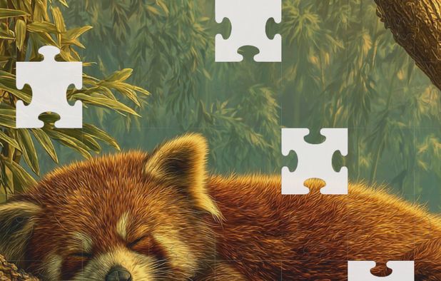 Games Like Jigsaw Puzzles Real: Similar Puzzle Games 2026 | AlternativeTo