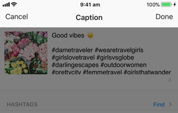 Preview for Insta·Feed Planner Alternatives: Top 9 Image Editors ...