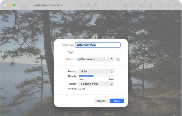 Great Windows Photo Viewer Alternatives: Top Image Viewers in 2025 ...