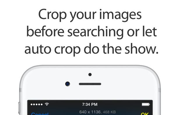 Google Lens Alternatives for iPhone: Top 16 Image Search Engines ...