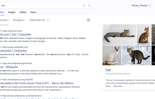 Flaru Alternatives: Top 5 Web Search Engines & Similar Websites ...
