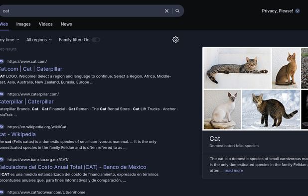 Flaru Alternatives: Top 5 Web Search Engines & Similar Websites ...
