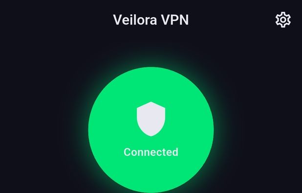 Veilora VPN: VPN that works where others get blocked. Uses | AlternativeTo