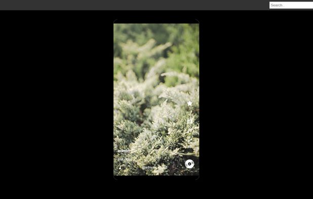 Vidzy: - Watch popular short videos | AlternativeTo