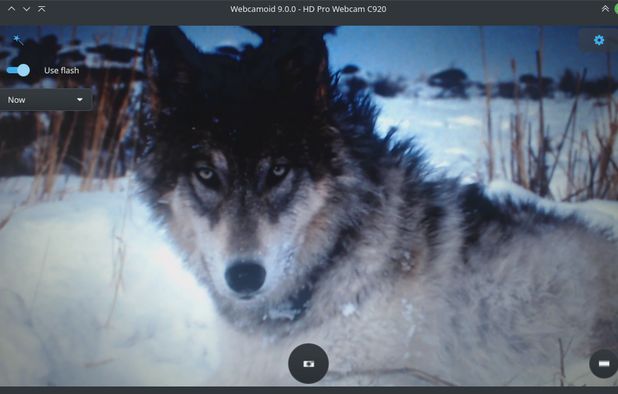 Windows Camera Alternatives - Explore Similar Apps | AlternativeTo