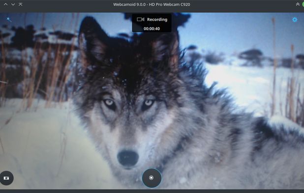 Windows Camera Alternatives - Explore Similar Apps | AlternativeTo
