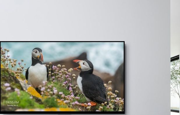 Photo Gallery and Screensaver Alternatives - Explore Similar Apps ...