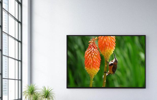 Photo Gallery and Screensaver Alternatives - Explore Similar Apps ...