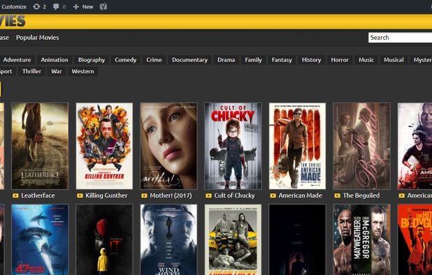 Great PrimeWire.li Alternatives: Top Movie Streaming Services in 2025 ...